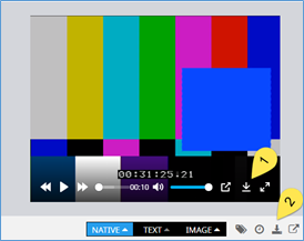 Download a video file